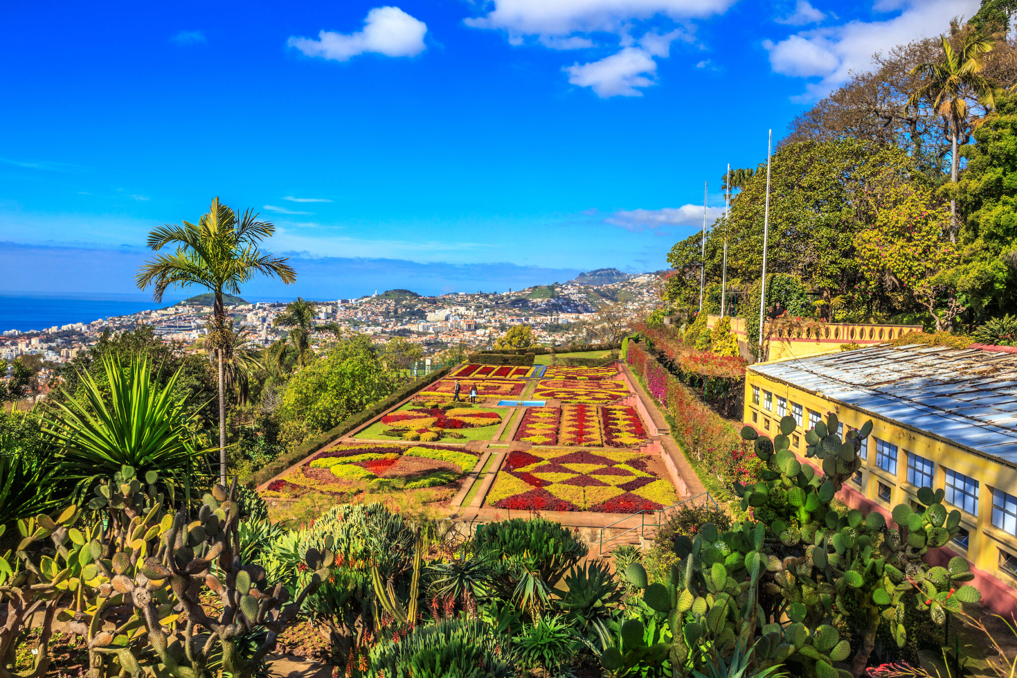 Was gibts zu tun auf Madeira? Sehenswürdigkeiten, Orte und Feste