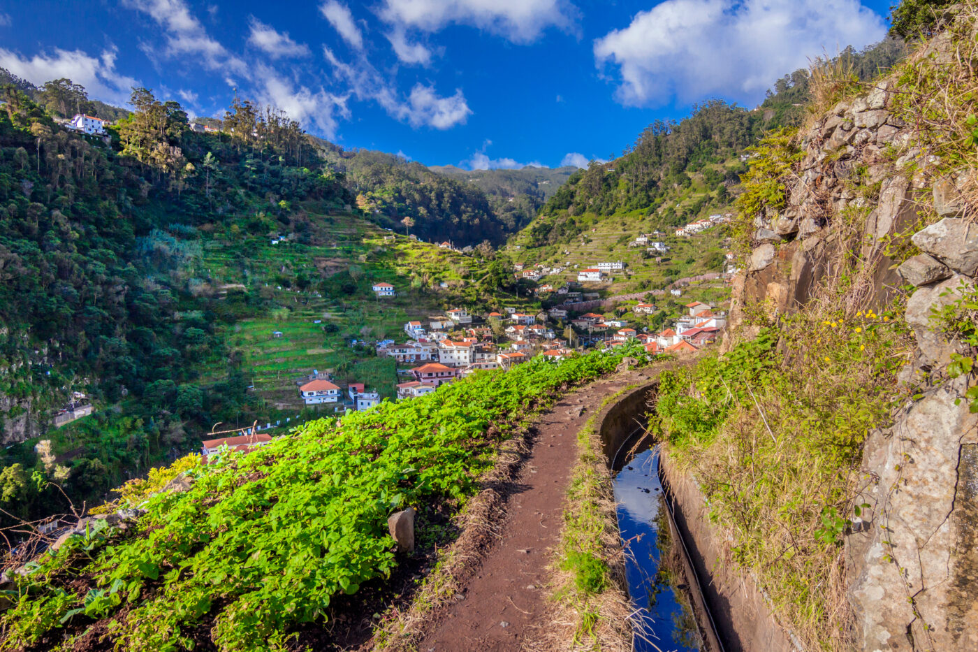 Madeira: Ein Paradies für Naturliebhaber und Entdecker